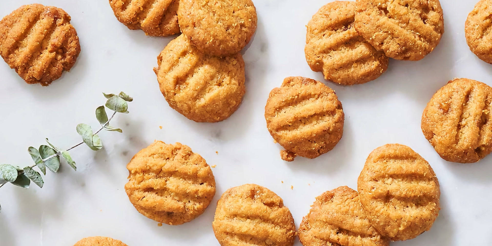 Halal Cookies Singapore | Halal-Certified Cookies & Cookie Gift Packs ...