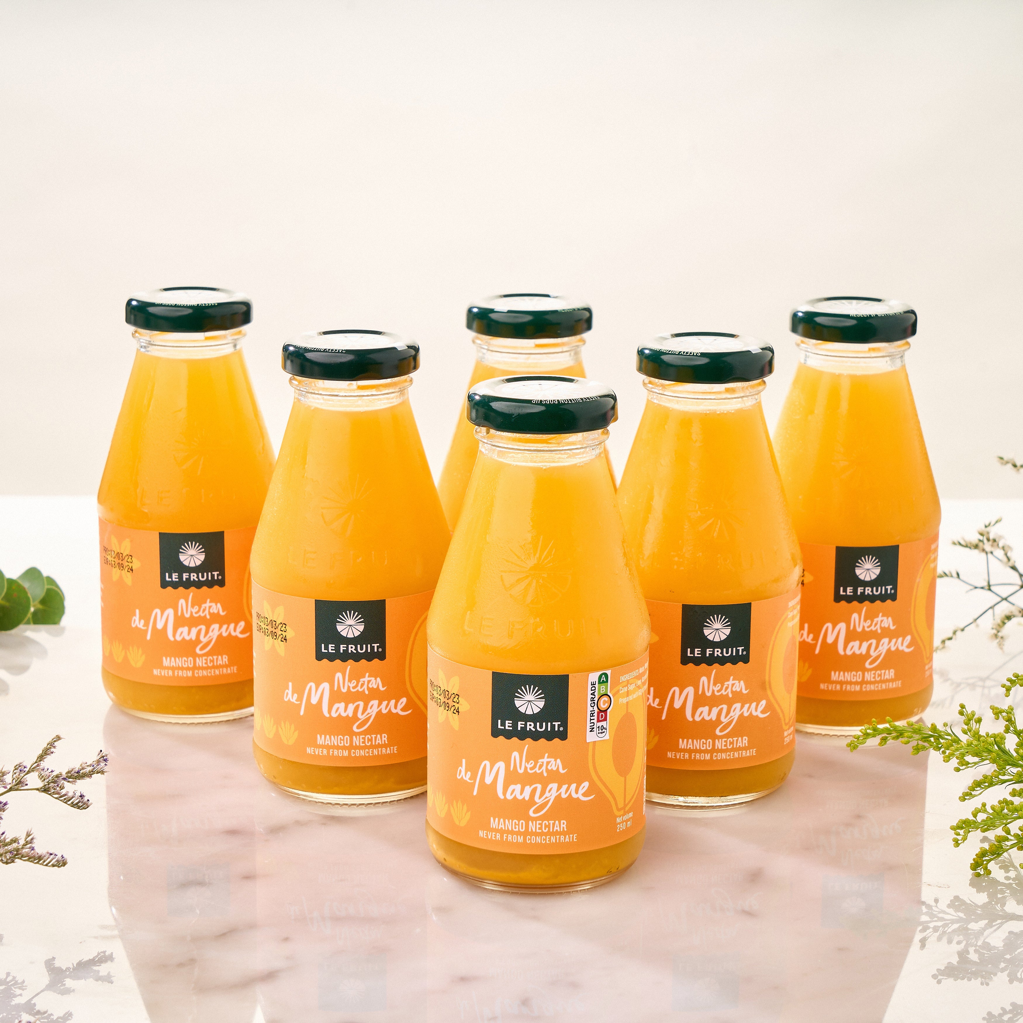 Mango Nectar (Pack of 6) – All Things Delicious