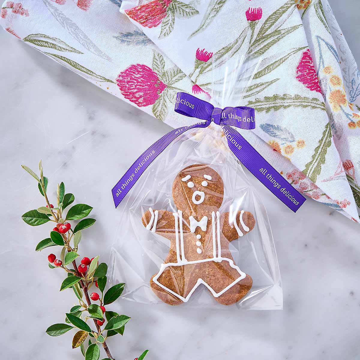 Gingerbread Man Cookies – All Things Delicious